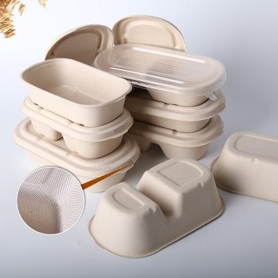 China Recipientes de alimento biodegradáveis de Desechable 480mm com tampas à venda