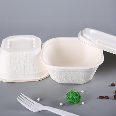 Cina Contenitori di alimento impermeabili al grasso biodegradabili della polpa della bagassa in vendita