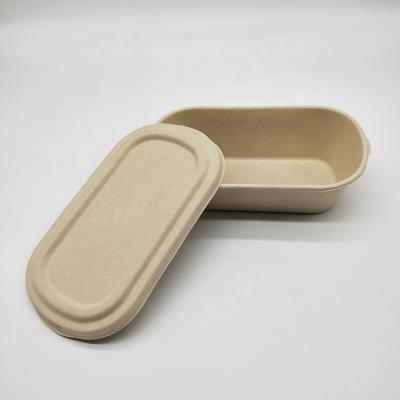 Cina Imballaggio asportabile rispettoso dell'ambiente concimabile 1000ML in vendita