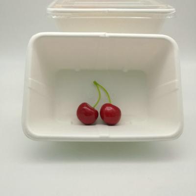 China Bandejas Microwavable biodegradáveis descartáveis do alimento da cana-de-açúcar à venda