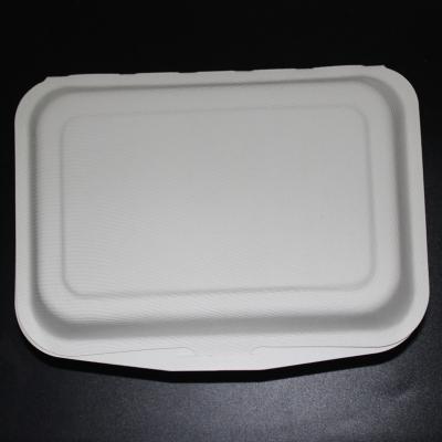 China Recipientes de alimento Compostable naturais do bagaço de Refrigerable à venda