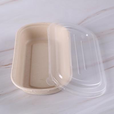 Cina Glutine amichevole di Straw Bento Oval Lunch Box Allergy del grano Microwavable libero in vendita