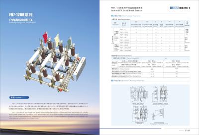 Cina L'alta tensione dell'interno ha fuso la serie del commutatore di rottura di carico 12KV 50 il hertz FN5-12 in vendita