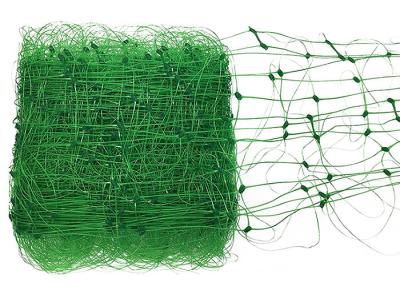 Cina 6,5 piedi di guardia di plastica Protector Trellis di Mesh Netting Hdpe Garden Leaf in vendita