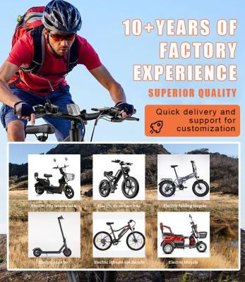 Chine 14 pouces 2024 vélo électrique de montagne vélo 48v 500w capacité de la batterie 15.6Ah avec le frein à disque puissant et la roue arrière à vendre