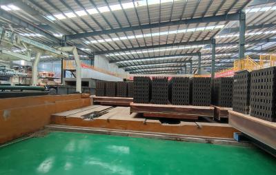 Cina Forno personalizzato per l'asciugatura e la cottura dei mattoni in vendita