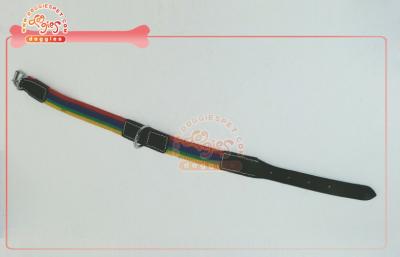 Cina Collare di nylon variopinto dell'animale domestico con cuoio genuino in vendita