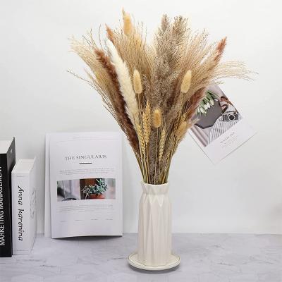Cina Erba di pampa naturale secca variopinta del fiore piccola per la decorazione in vendita