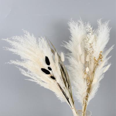 Cina Le piante secche avvolte pampa del fiore erba il mazzo decorativo per la decorazione domestica in vendita