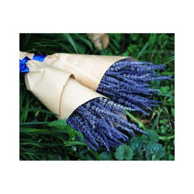 Cina Mazzo secco dei fiori della lavanda per le decorazioni domestiche della Tabella del salone in vendita