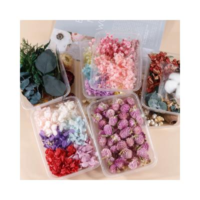 Cina L'aromaterapia secca mista inscatolata Diy delle candele delle piante del fiore elabora in vendita