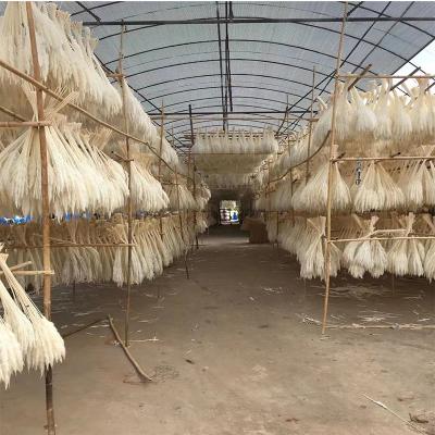 Cina L'aromaterapia Pampa floreale delle piante del fiore secca nozze domestiche ha asciugato i fiori in vendita