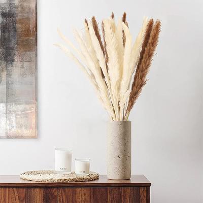 Cina Tocco naturale a secco decorativo dell'erba di pampa di multi colore in vendita