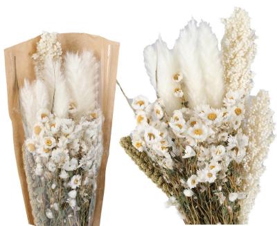 Cina Piante Reed Pompous Grass asciutto naturale del fiore secche decorazione di nozze in vendita