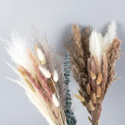 Cina Bunny Tail Reeds Pampas Grass naturale secco su misura per la decorazione domestica in vendita