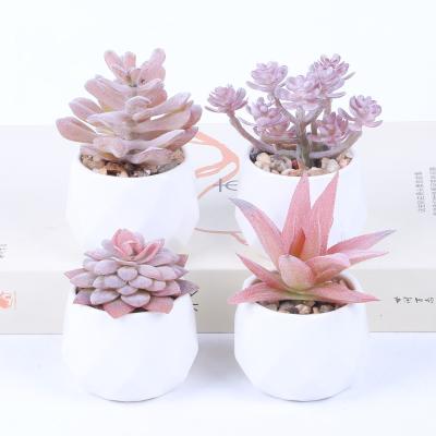 中国 総本店のデスクトップの人工的な植物の陶磁器の擬似緑の草木の現実的で水気が多い植物 販売のため