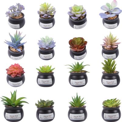 中国 鍋が付いている装飾的なデスクトップの人工的な植物の人工的な水気が多い植物 販売のため