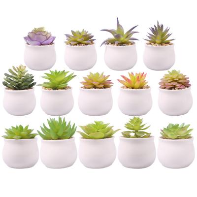 中国 装飾のための陶磁器の鍋が付いている小さい人工的な擬似水気が多い植物 販売のため