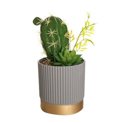 中国 人工的な水気が多い植物の鉢植えなシミュレーションの鍋が付いている実質の接触10cm小型サボテン 販売のため