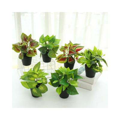 中国 屋内デスクトップの人工的な植物のシミュレーションの緑の草木の群葉の鉢植えな植物 販売のため
