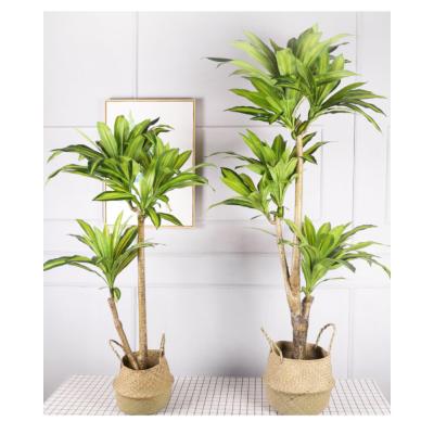 China Groot van de de Simulatie Braziliaans Houten Installatie van de Bureaudecoratie van de Vorkenbrazilië Kunstmatig van de het Huisbonsai van de de Installaties Openluchtboom het Huwelijksdecor Te koop