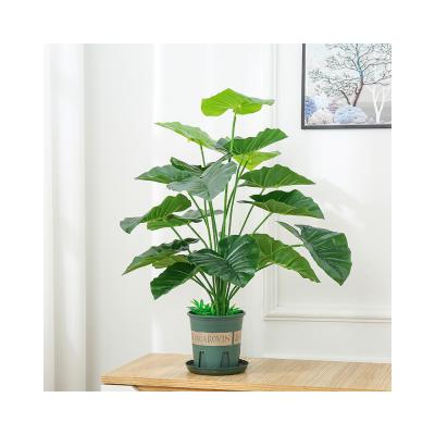 China Simulatie van Kleine Ingemaakte van het Groenornamenten van de Installaties Binnendecoratie Bloemen de Vloerbonsai Te koop