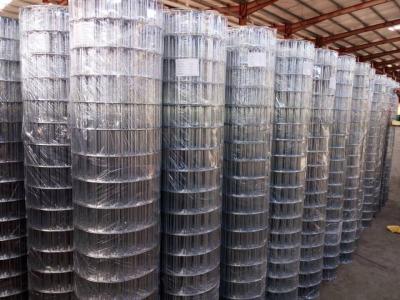 China Malla de alambre soldada con autógena galvanizada sumergida caliente 50×100m m para cercar con resistencia del moho de Stong en venta