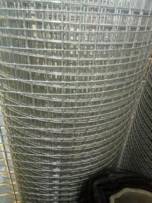 China pantalla soldada con autógena del 1/2”, acero inoxidable inoxidable 304/316 malla soldada con autógena en venta