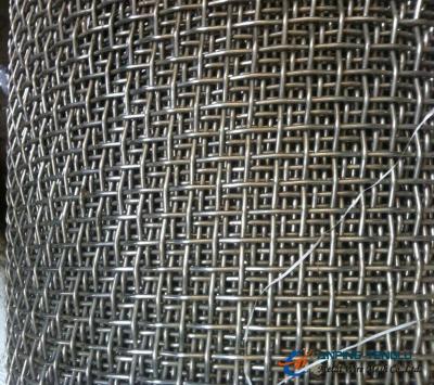 China Stainless Steel Plain Weave/Crimped Wire Mesh Used for Vibrating Screen en venta