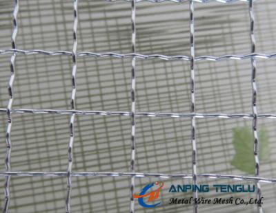 China 10mm, 12.7mm, 20mm Opening Crimped Wire Mesh for Producing Barbecue Grill en venta