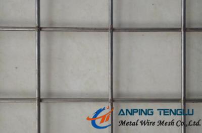 China Hot Sale Welded Wire Mesh, Square Opening: 1/4