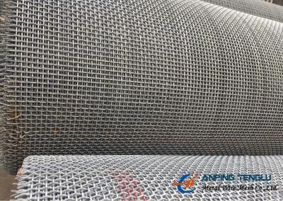China Crimped Sieving Wire Mesh Used for Vibrating Screen in Mining Industry en venta