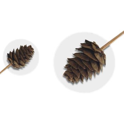 Chine sélections en bambou dcorative de fruit de nourriture de cônes de pin de 9cm à vendre