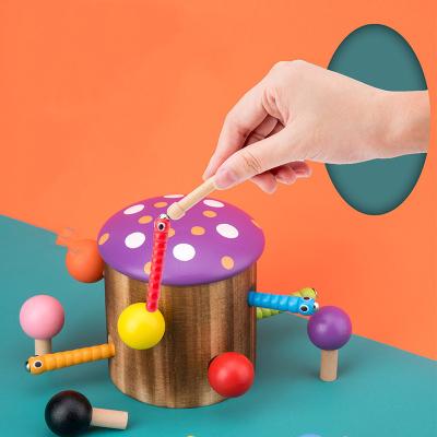 Китай Деревянная задвижка игра червя для тренировки координации глаза руки детей продается