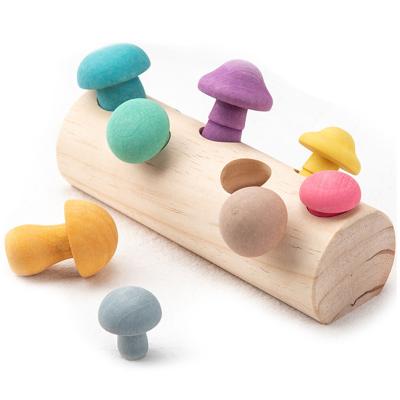 Cina Fungo di legno dei bambini che seleziona i blocchetti DIY 3D dell'arcobaleno dei giocattoli in vendita