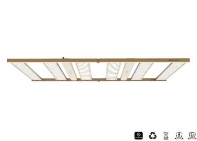 Cina Dimmable esclude lo spettro completo della luce progressiva principale pianta idroponica 1200W facoltativo in vendita