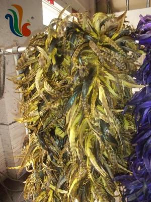Marabou Feather And Chicken Coque Feather Boa Make Your Event Unforgettable