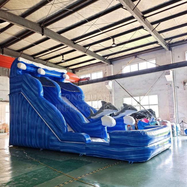 Blue Whale Inflatable Water Slide_05