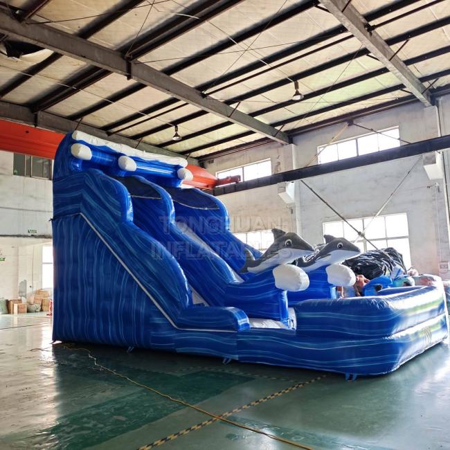 Blue Whale Inflatable Water Slide_02