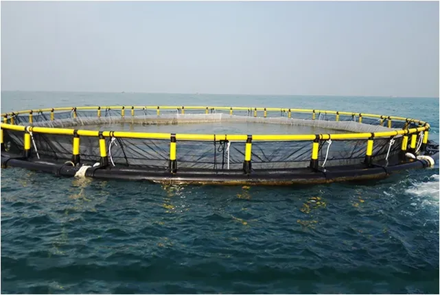 HDPE Farming Aquaculture Cages for Sea Bream