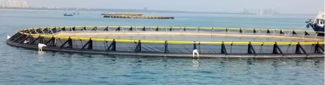 Upgrade From Rust to Robust. Experience The Future of Farming with HDPE Fish Cages
