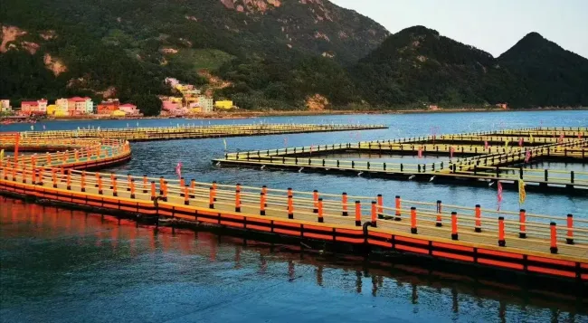 Trade Your High-Maintenance Metal Grids for a Lifetime of Durability. Choose HDPE Fish Cages.