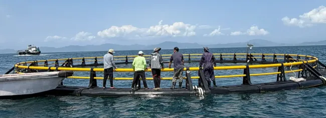 Trade Your High-Maintenance Metal Grids for a Lifetime of Durability. Choose HDPE Fish Cages.