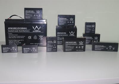 Cina SMF VRLA UPS AGM 12v 40ah ha sigillato la batteria al piombo ricaricabile 6FM40 in vendita