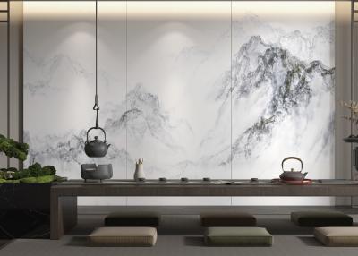 Chine Grand décor aggloméré naturel de mur de dalle de format de style en pierre de paon à vendre