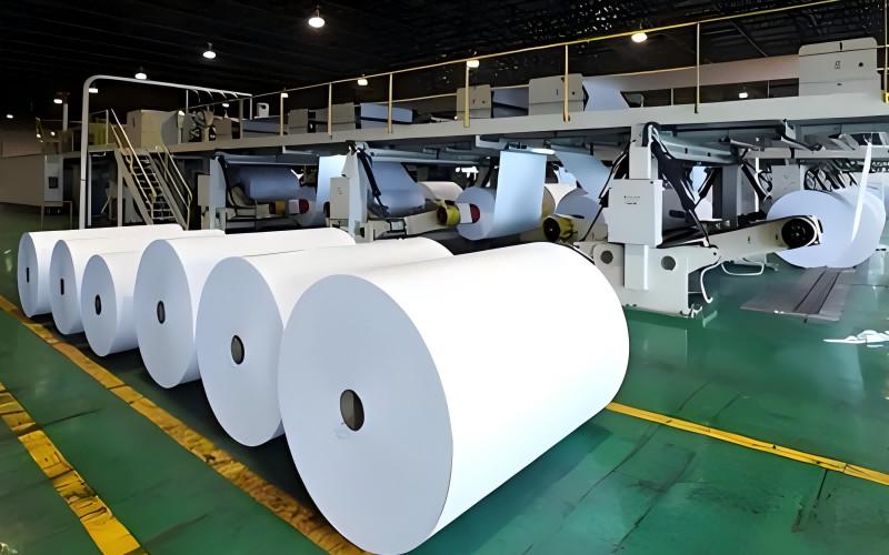Fornitore cinese verificato - Sunxiang Industry (International) Limited