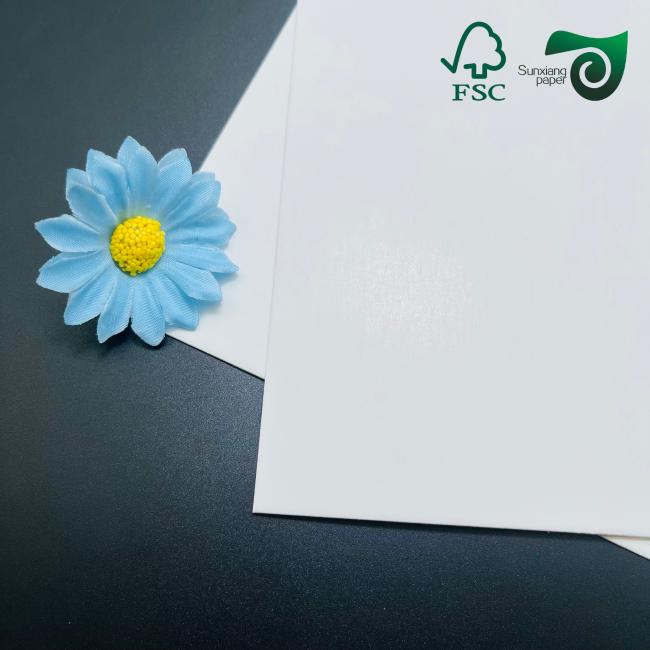 FSC C1S Glossy Coated Paper close-up