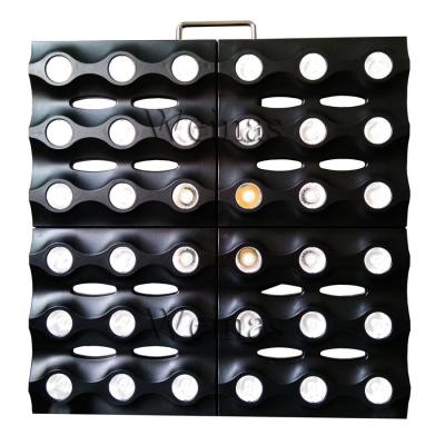 Cina operazione facile di colore delle luci della discoteca di 36PCS X di 3W LED dell'esposizione LCD variopinta bianca dei modelli in vendita
