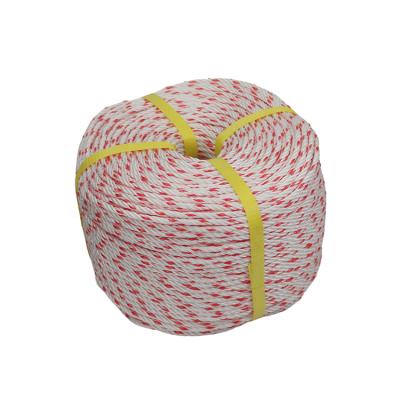 Cina High Quality Polyester Polyamide Plastic Cotton Twist Rope Polyethylene PP/PE Nylon Rope in vendita