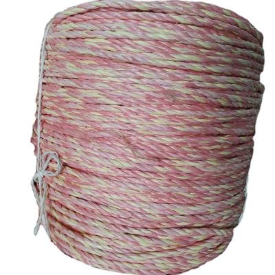 Cina Polyethylene/Polypropylene Marine Anchor Mooring Safety Rope Firm Double Braided Boat Ramie Cotton Yarn in vendita